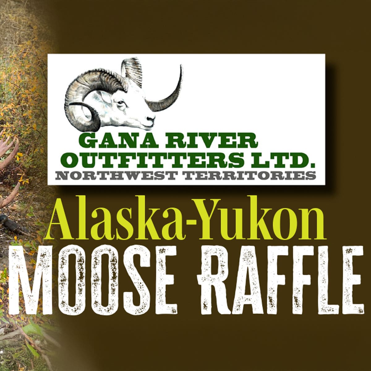 Moose Raffle - Southeastern Chapter of the Wild Sheep Foundation